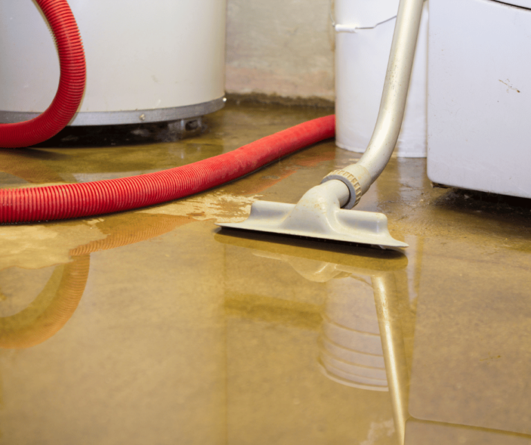 Crawl Space Repairs: Drainage Solutions for BC Homes